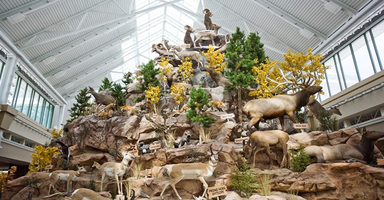 Things to Do at Wichita SCHEELS | SCHEELS.com