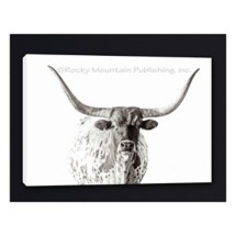 Rocky Mountain Publishing Lefty Wall Art | SCHEELS.com