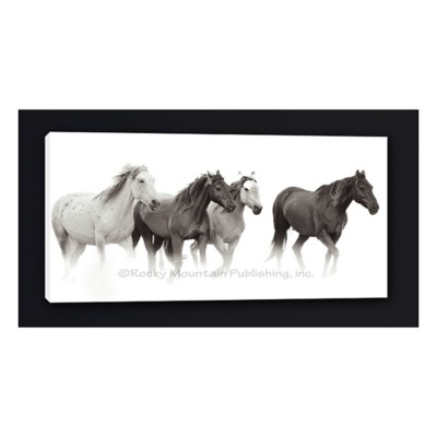 Rocky Mountain Publishing Quatro Wall Art | SCHEELS.com