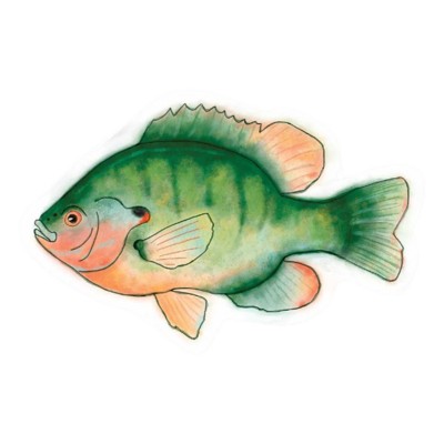 MN Nice Enough Sunfish Sticker Sticker