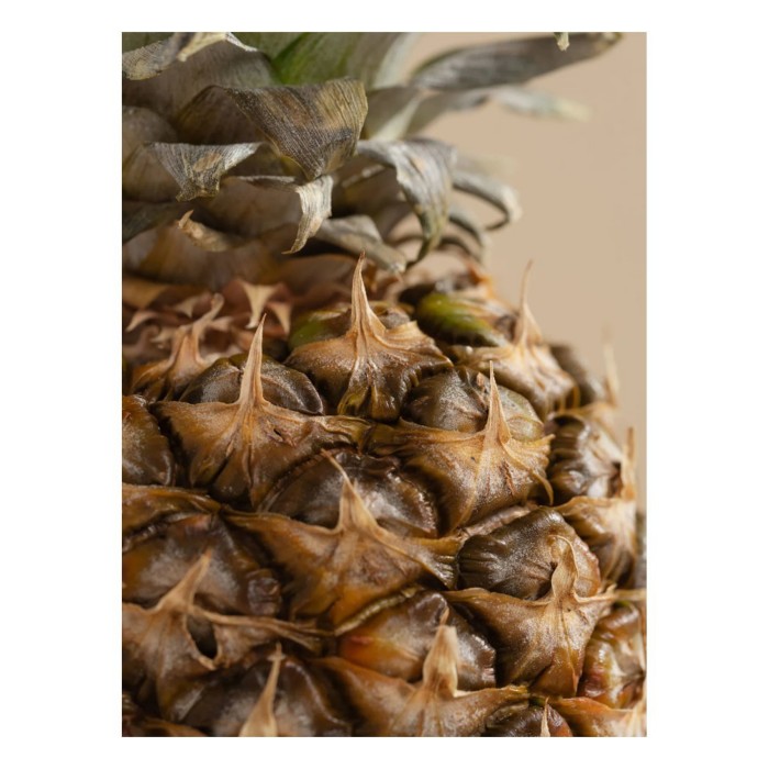 Pura x Tommy Bahama Diffuser Refill