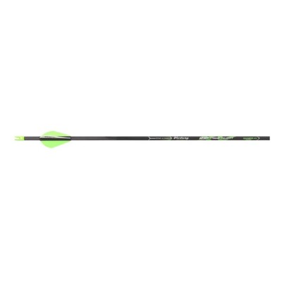 Victory RIP XV Arrows