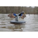 MOJO Mallard Drake Floater Decoys | SCHEELS.com