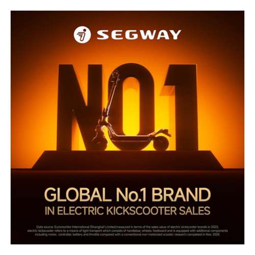 Segway Ninebot KickScooter F2 Foldable Electric Scooters | SCHEELS.com