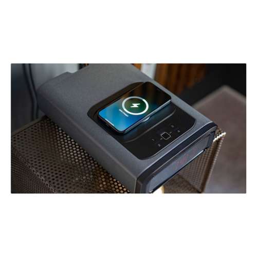 Vaultek DS2I Smart Station Personal Safe | SCHEELS.com