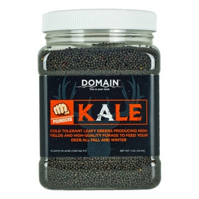 Domain Outdoor Kale Seed | SCHEELS.com