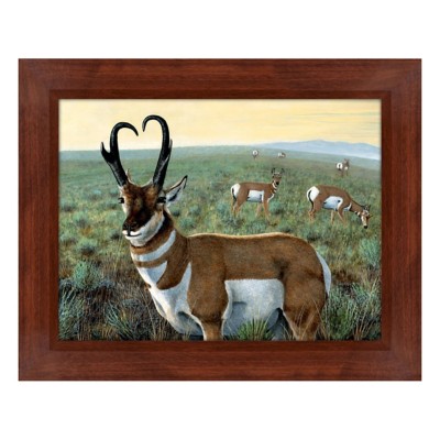 Print & Frame Pronghorns