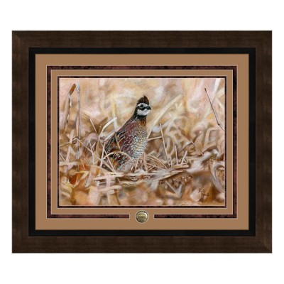 Print & Frame Forever Quail - Paper Print Framed with Medallion