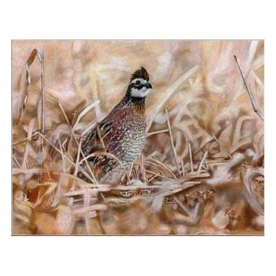 Print & Frame Forever Quail - Paper Print Only