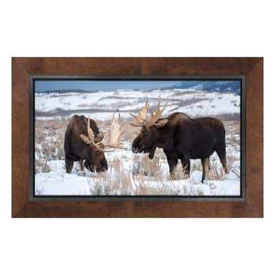 Print & Frame Moose Duo Print | SCHEELS.com