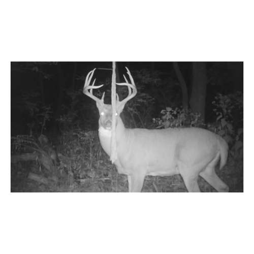 Hodag Hemp Scent Rope System | SCHEELS.com