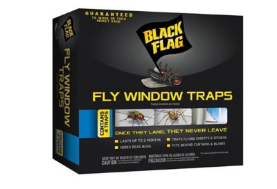 Black Flag Fly Window Trap 4 pk | SCHEELS.com