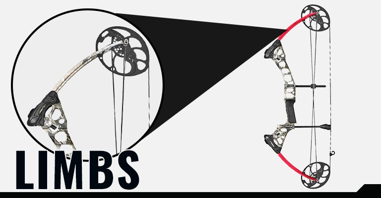 Parts of a Compound Bow: A Beginner’s Guide | SCHEELS.com
