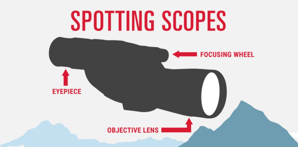 Mastering the Hunt: The Art of Selecting the Perfect Spotting Scope for ...