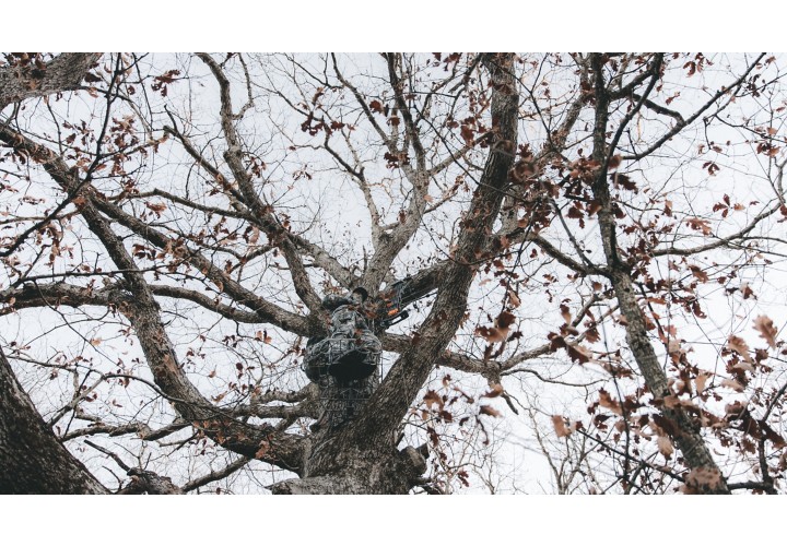 Men's Sitka Stratus Softshell Jacket | SCHEELS.com