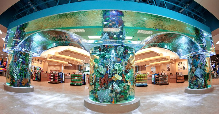 Things to Do at Overland Park SCHEELS