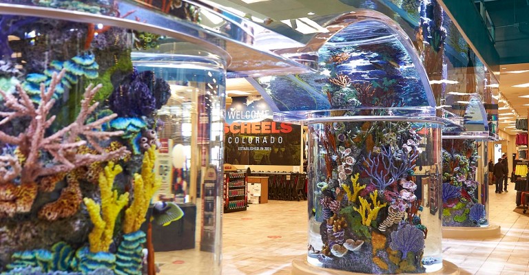 Things to Do at Reno Sparks SCHEELS