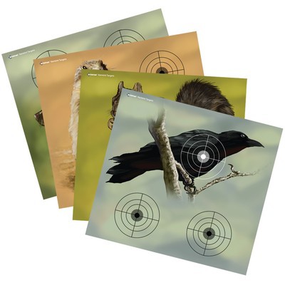 Daisy Red Ryder Air Rifle | SCHEELS.com