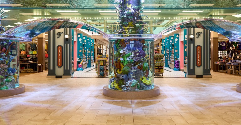 Things to Do at Wichita SCHEELS